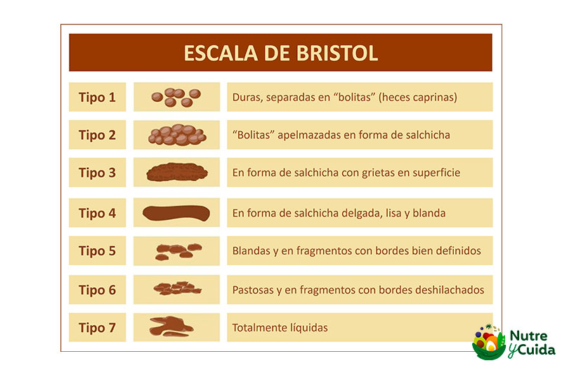 Dieta para el colon Irritable: cómo mejorar tu bienestar - Nutre y Cuida